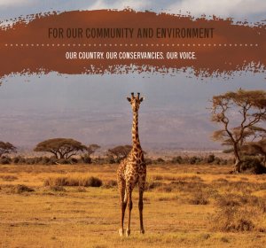 KWCA Organizational Profile | KWCA